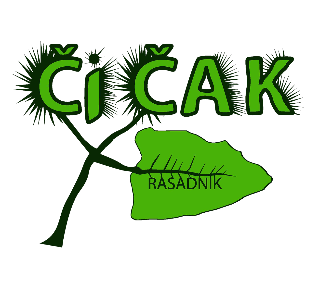 Cicak Logo
